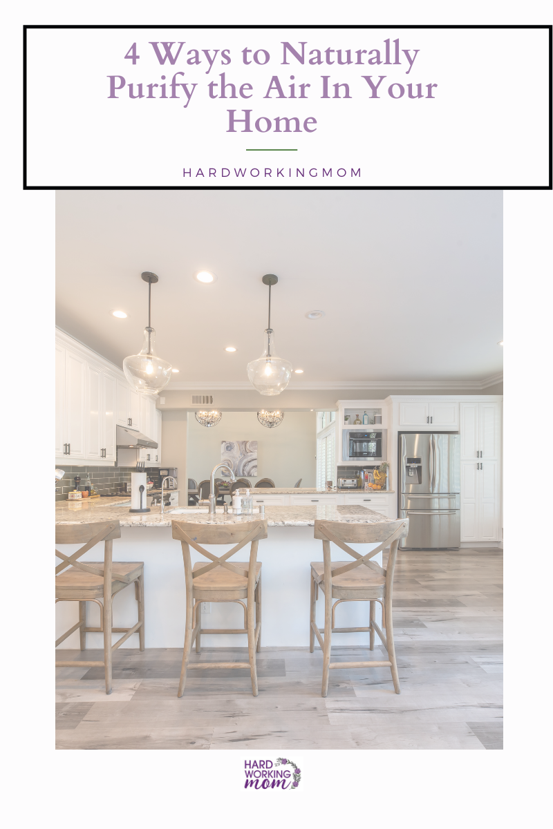 4 Ways To Naturally Purify The Air In Your Home - Hard Working Mom